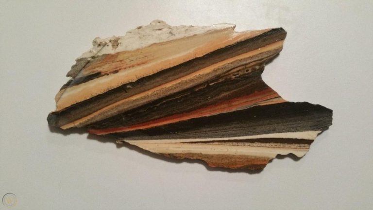 A View From Our Mountains - Cayman's Geologic History - National Trust ...