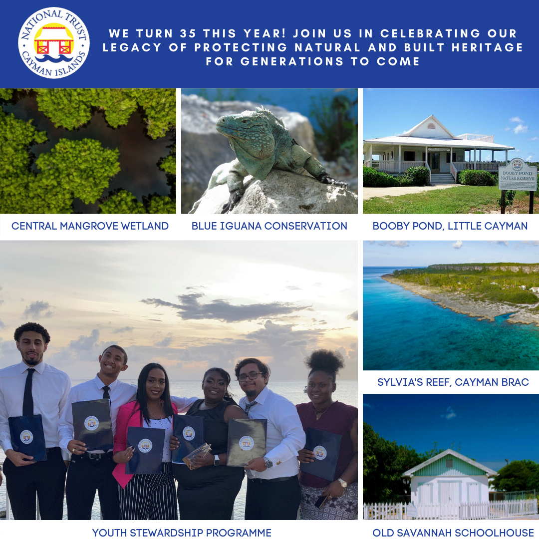 Press Release: Guess who turns 35 years old? The NTCI Celebrates 35 ...