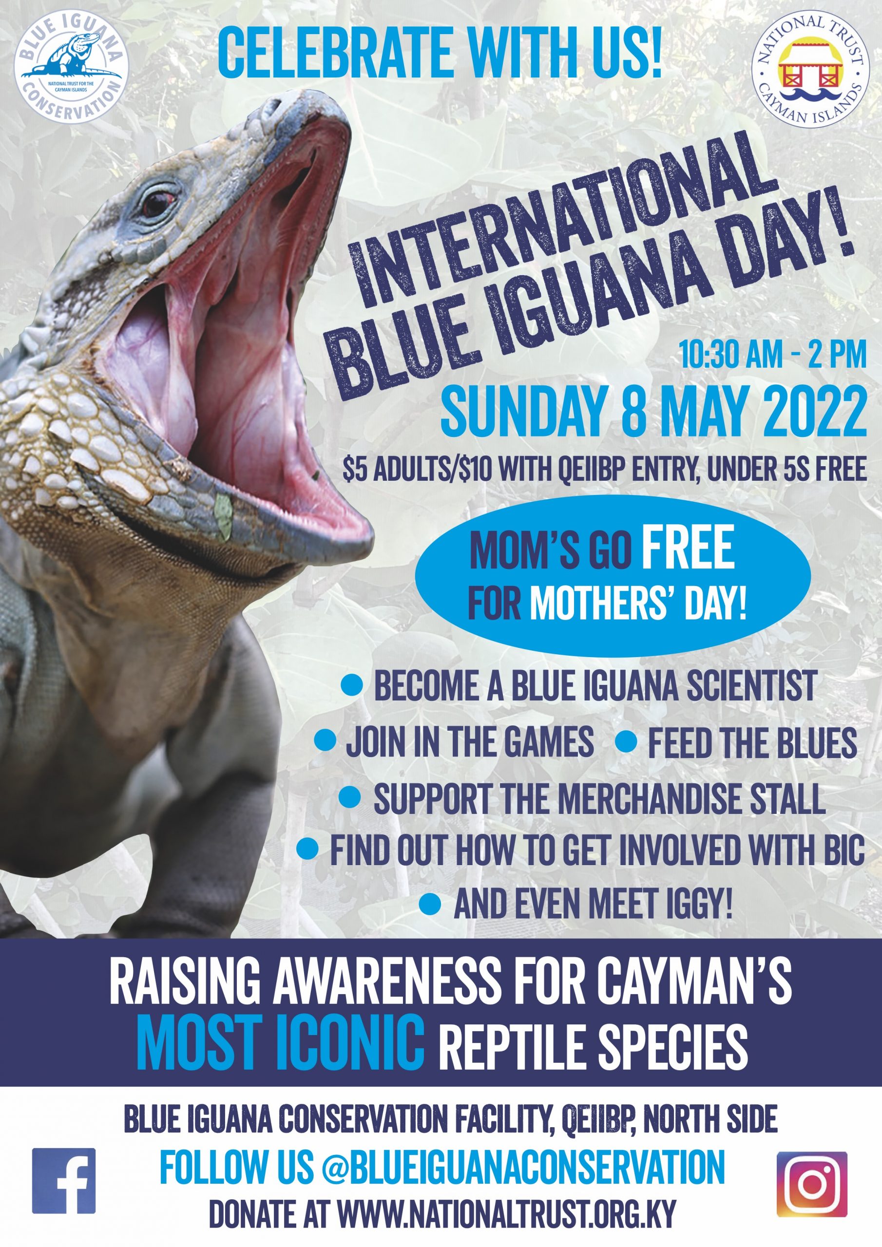2nd Annual International Blue Iguana Day - National Trust for the ...