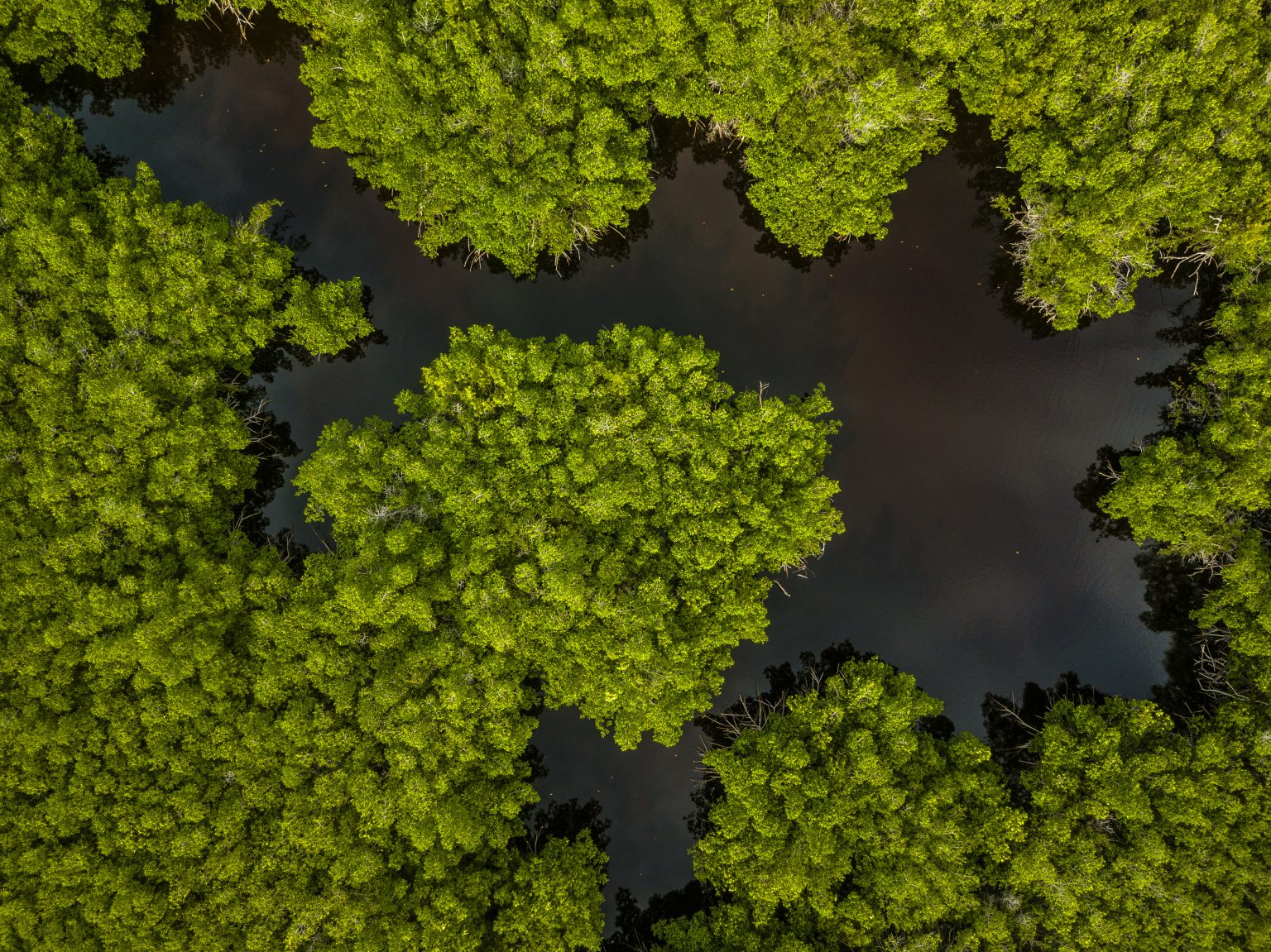 home - National Trust for the Cayman Islands