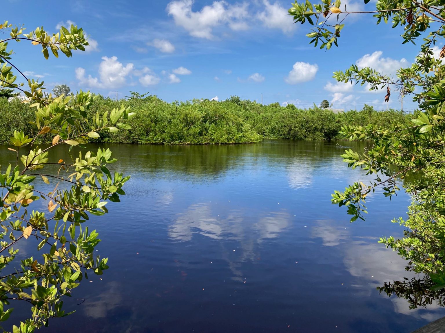 George Town District Committee AGM - National Trust for the Cayman Islands