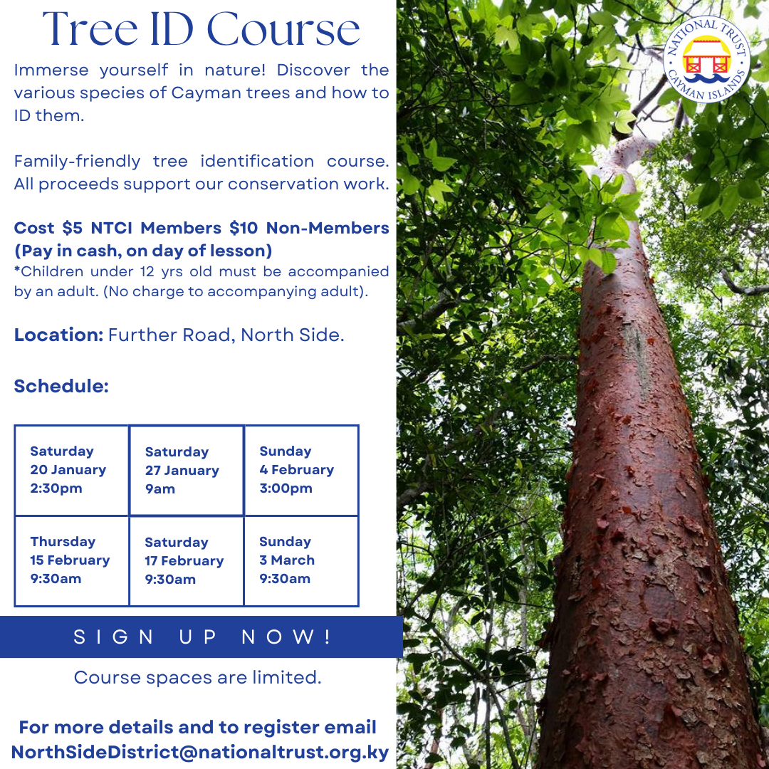 Family-Friendly Tree ID Course - National Trust for the Cayman Islands