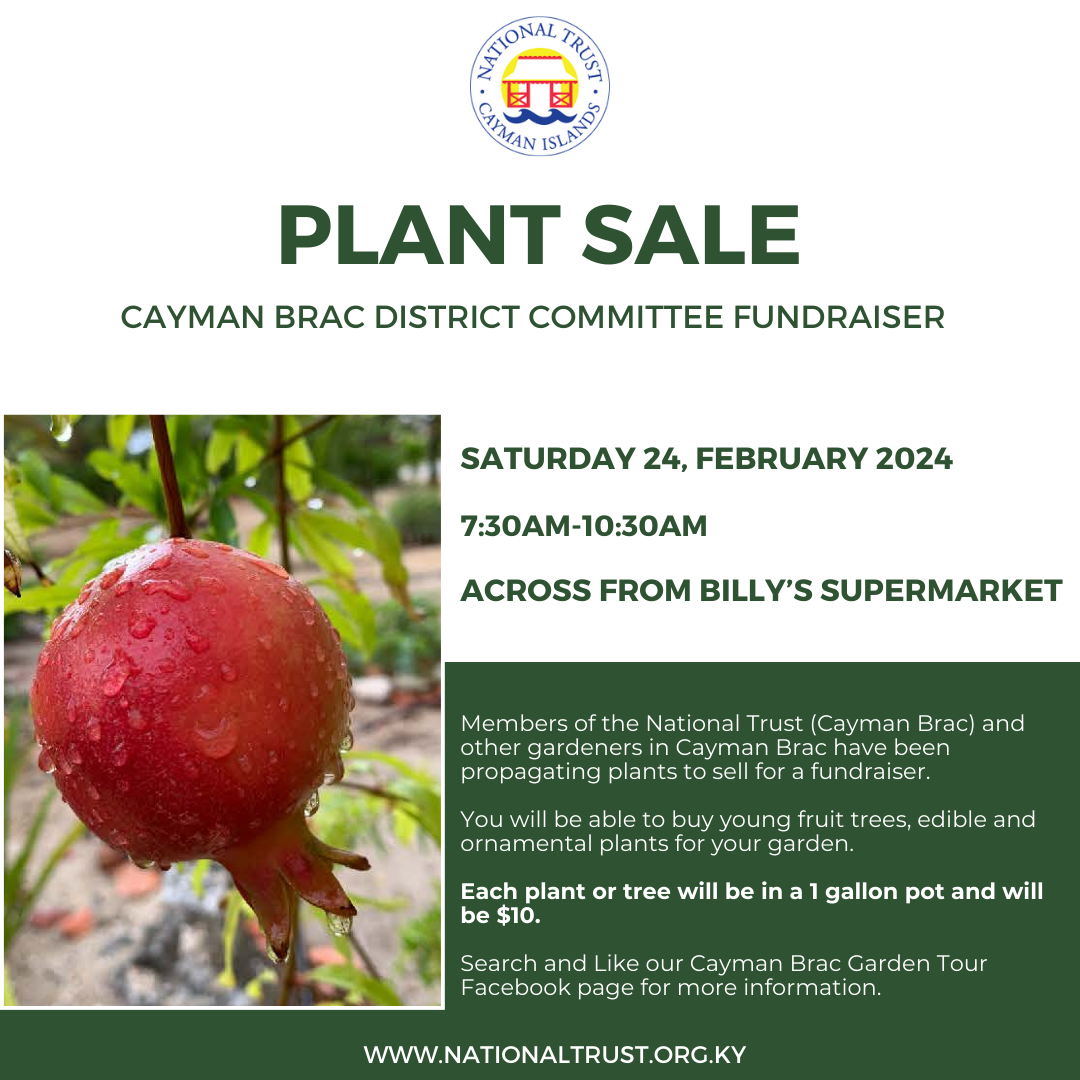Cayman Brac: Plant Sale - National Trust for the Cayman Islands