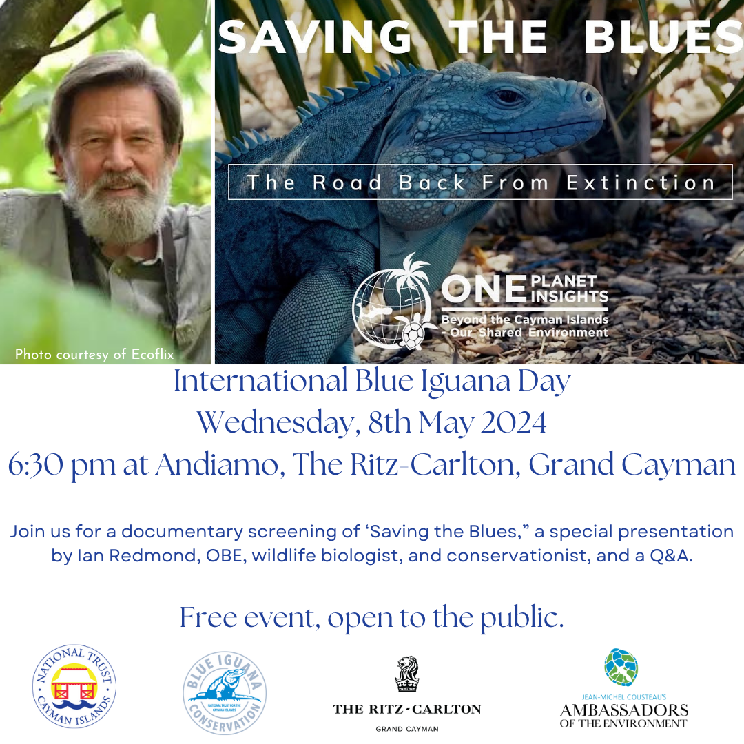 Free Screening: Saving the Blues - National Trust for the Cayman Islands