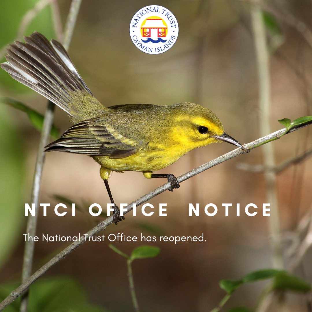 NTCI Notice: Office Reopened - National Trust for the Cayman Islands