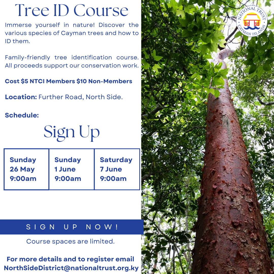 Tree ID Course: New Dates - National Trust for the Cayman Islands